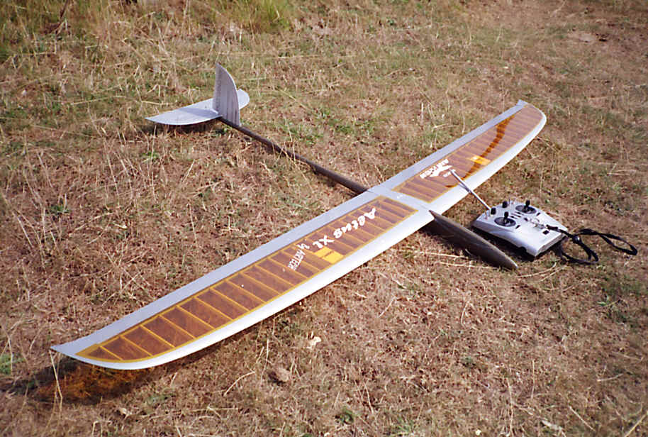 Altus XL lightweight aerobatic soarer